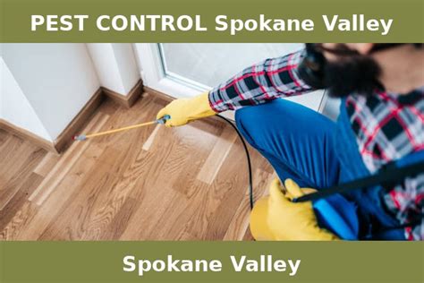 Best Pest Control Services In Spokane Valley Wa Call 888 498 9391