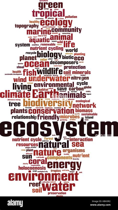 Ecosystem Word Cloud Concept Vector Illustration Stock Vector Image