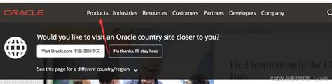 java从入门到入土）java的来历。 java壏墭是壕 壏墭壌壖而来墷 csdn博客