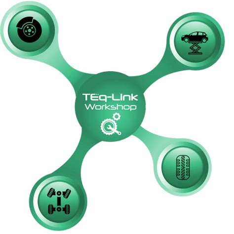 Workshop Connectivity Software Teq Link Ravaglioli