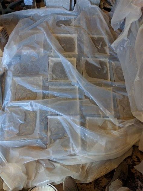 Specimens With Saltwater Solution Covered With Plastic Covers