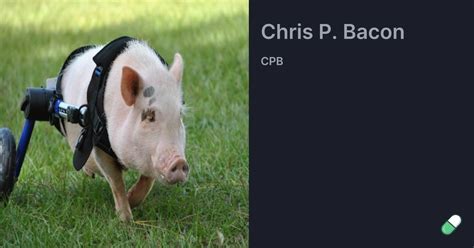 Chris P Bacon Cpb Pump