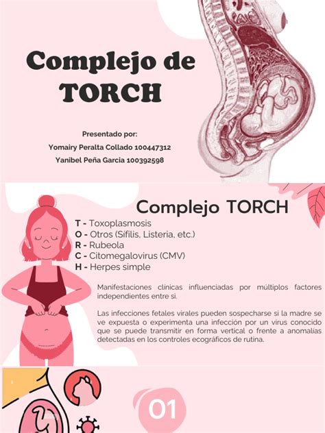 Complejo Torch Pdf El Embarazo Causas De La Muerte