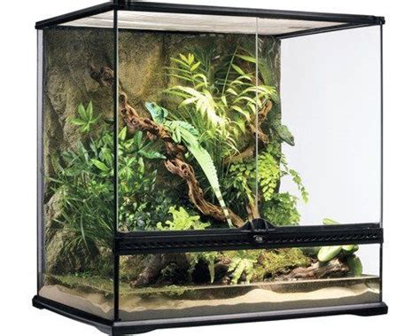 Exo Terra 60 45 60 Terrarium Mit Thermo Hydro Meter Neu Gemäss