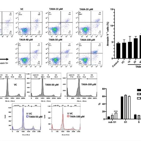 Apoptosis And Cell Cycle Progression Of Taiia Treated Thp 1 Cells A Download Scientific
