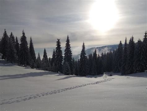 Drumetiiorganizatemuntecluj2019 Clubul Montan Apuseni