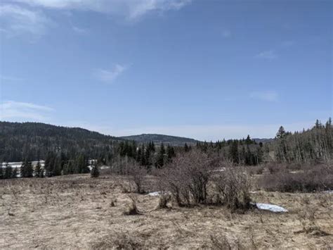 Best 10 Hikes And Trails In Cypress Hills Provincial Park Alltrails
