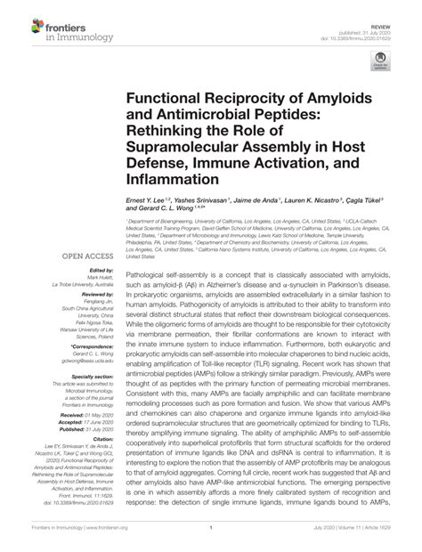 Pdf Functional Reciprocity Of Amyloids And Antimicrobial Peptides