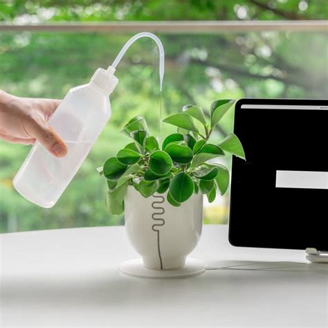 Mui Board Enables Smart Home Control From A Plank Of Wood