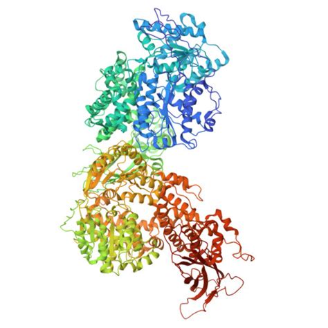 Rcsb Pdb 8alz Cryo Em Structure Of Ascc3 In Complex With Asc1