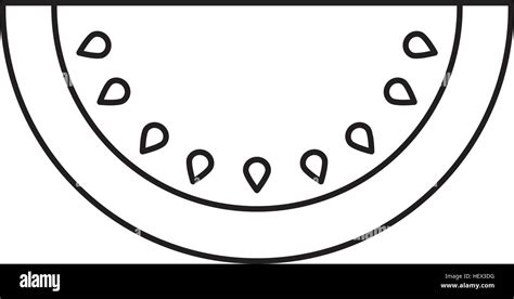 Watermelon Fresh Fruit Drawing Icon Vector Illustration Design Stock Vector Image And Art Alamy