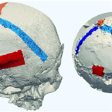 Datasets For Surface Registration Left 3d Model From A Segmentation