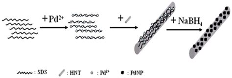 Schematic Procedure Of The Synthesis Of Pdnps Hnts Nanostructures Download Scientific Diagram