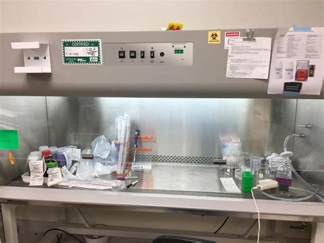 Electron Microscopy Harvard Cns