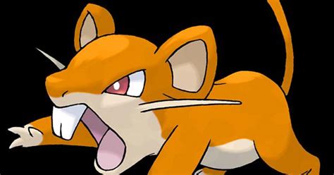 Fixed Rattatas Shiny Album On Imgur