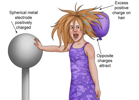 Electrostatic Forces Mammoth Memory Definition