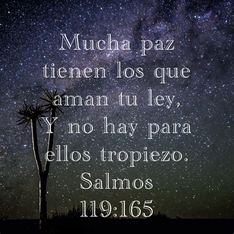 Salmos 119 165 Mucha Paz Tienen Los Que Aman Tu Ley Y No Hay Para