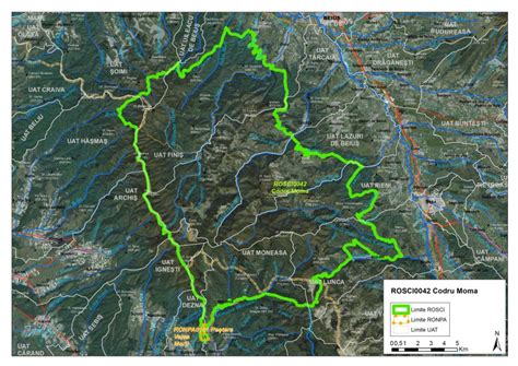 Rosci 0042 Codru Moma Carpasit