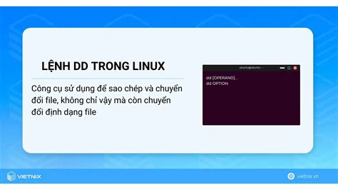 Lệnh Dd Trong Linux 7 Ví Dụ Thực Tế Về Cách Sử Dụng Cơ Bản