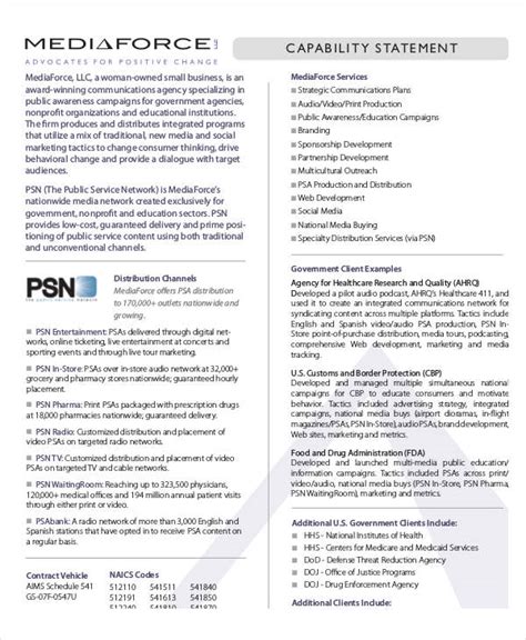 14 Capability Statement Examples