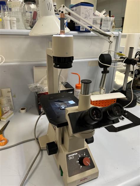 Microscope Light Source