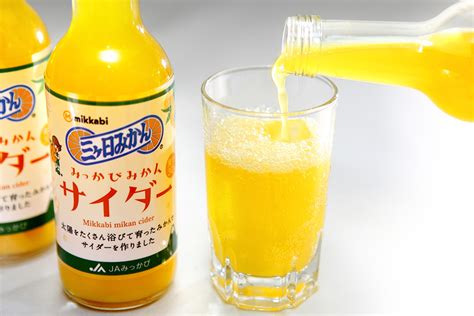 三ヶ日みかん｜はままつ うまいもんおしゃれだもん