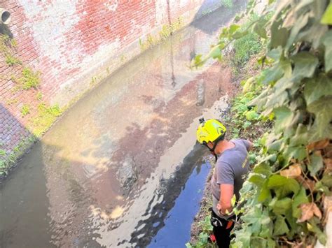 Andrea Sempio O Le Cugine Cappa Chi è Il Vero Killer Ritrovata Forse