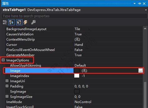 Devexpress Xtratabcontrol 组件添加一个tabpage并设置图标cs开发框架cs框架网
