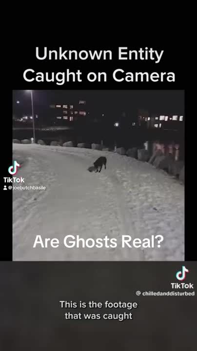 Joe Basile On Linkedin Paranormal Horror Comedy Paranormalactivity