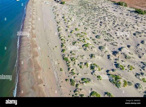 View Of The Sand Dunes And Sahuimaro Beach Sonora Mexico Sonora