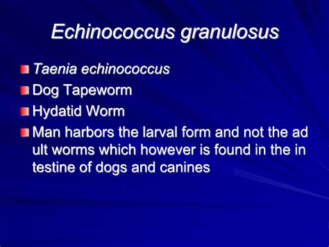 Cestodes Iipptx