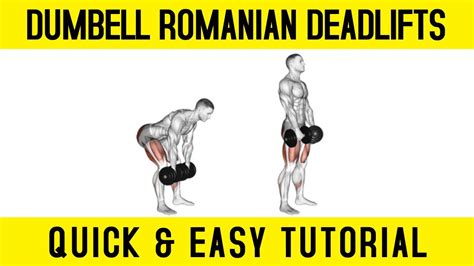 Can You Do Romanian Deadlift With Dumbbells At Stephanie Kingston Blog