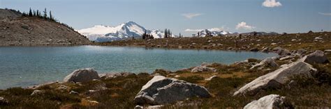 Blackcomb Alpine Hiking Trails Vancouver Trails