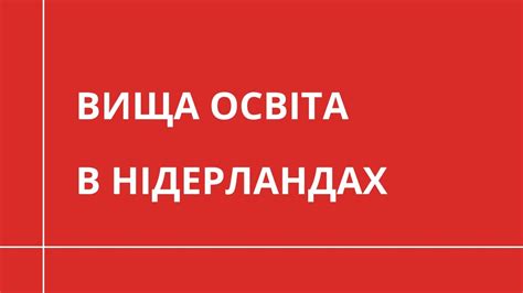 Вища освіта в Нідерландах | НАВЧАННЯ ЗА КОРДОНОМ - YouTube