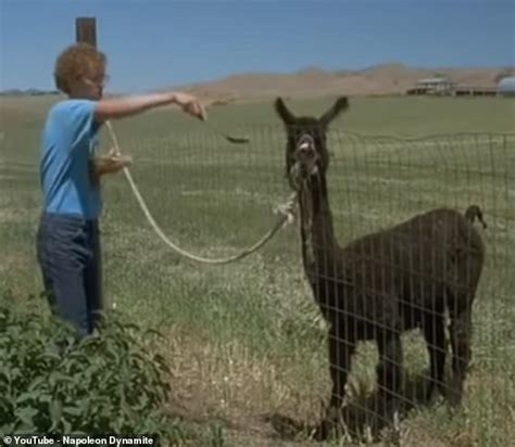 Napoleon Dynamite Is Back Jon Heder Reprises His Iconic Role For A