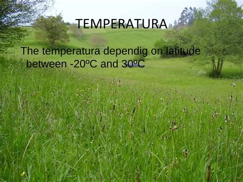 Grassland Ppt