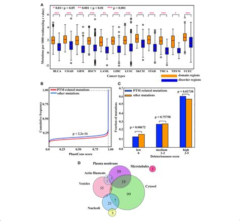 A The Box Plot Shows The Differences In Mutation Rates In The