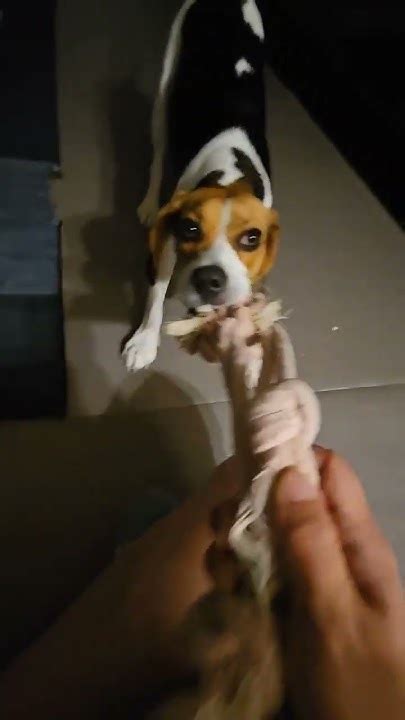 비투비 이창섭 구리 야 아빠 졸리데 아빠 목소리 맛갔다🥲🥹 이젠 아빠를 이기려고하는 구리씨🐶 Youtube