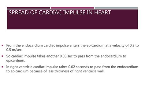 Sa Nodal Action Potential Conducting System Of Heart And Spread Of