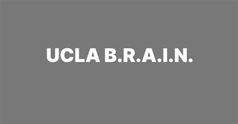 Ucla Brain Ucla Brain Research And Artificial Intelligence Nexus