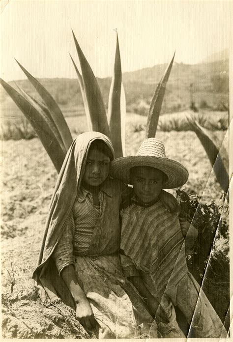Everyday Life Of Mexico In The Early 20th Century Through Hugo Brehmes
