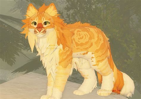 46 Wcue Morphs Memes Ideas To Save Today Warrior Cats Warrior Cat