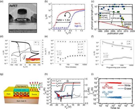 Ferroelectric Field Effect Transistors For Electronics And Optoelectronics Applied Physics