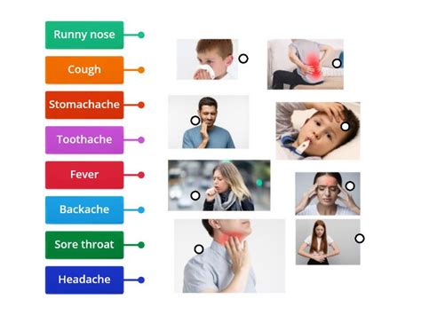 Health Problems Labelled Diagram