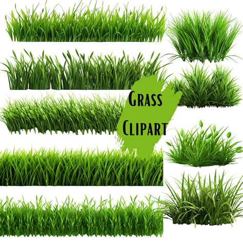 Grass Border Clipart Realistic Grass Png Green Grass Overlay Lawn