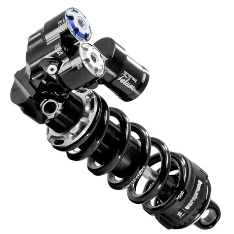 Vorsprung Telum Dynamia