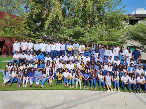 Loneoaksolutions Davidweekleyhomes Work Dataanalyst Learning