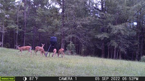 Alloutdoor Review Moultrie Deer Feeder Pro Ii And Micro 42 Trail Cam