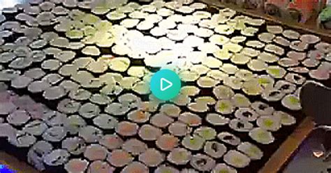 Rolling For The Sushi Album On Imgur