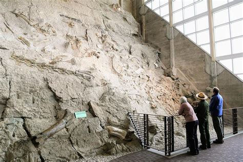 Viewing Dinosaur Fossils At The Quarry Exhibit Hall In Dinosaur